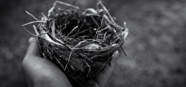 Empty Nest Syndrome - Happiness for Empty Nesters - Happify Daily