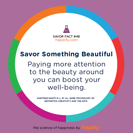 Where Do You See Beauty? - Happify Daily