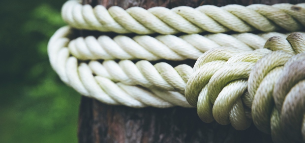 Strengthen Your Relationships - Build Social Connections - Happify Daily